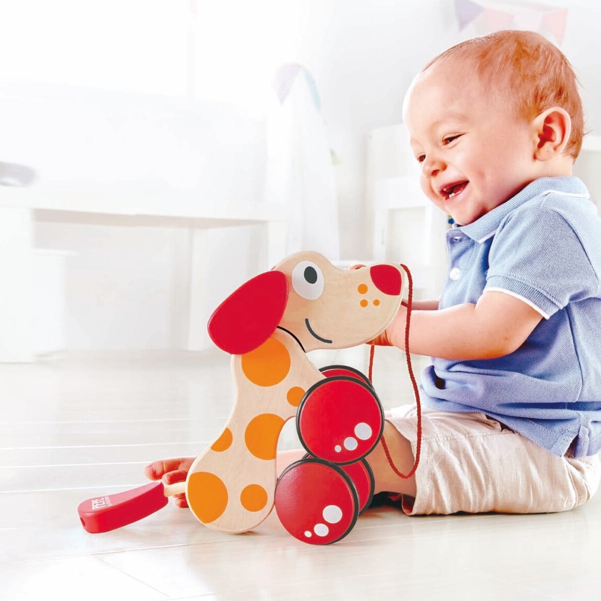 PERRO PEPE DE ARRASTRE – Hape México